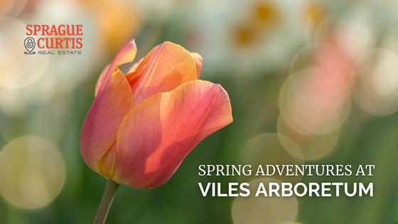 Spring Adventures at Viles Arboretum | Sprague & Curtis Real Estate