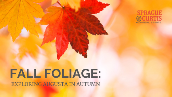 Posts from November 2023