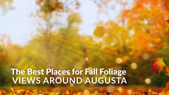 Posts from September 8th, 2025